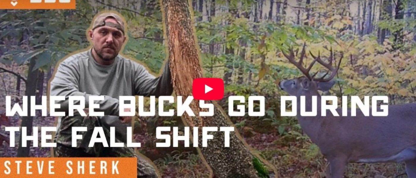 Where Bucks Disappear to During the Fall Shift — Steve Sherk - Sherks ...