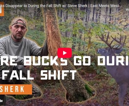 Home - Sherks Guide Service